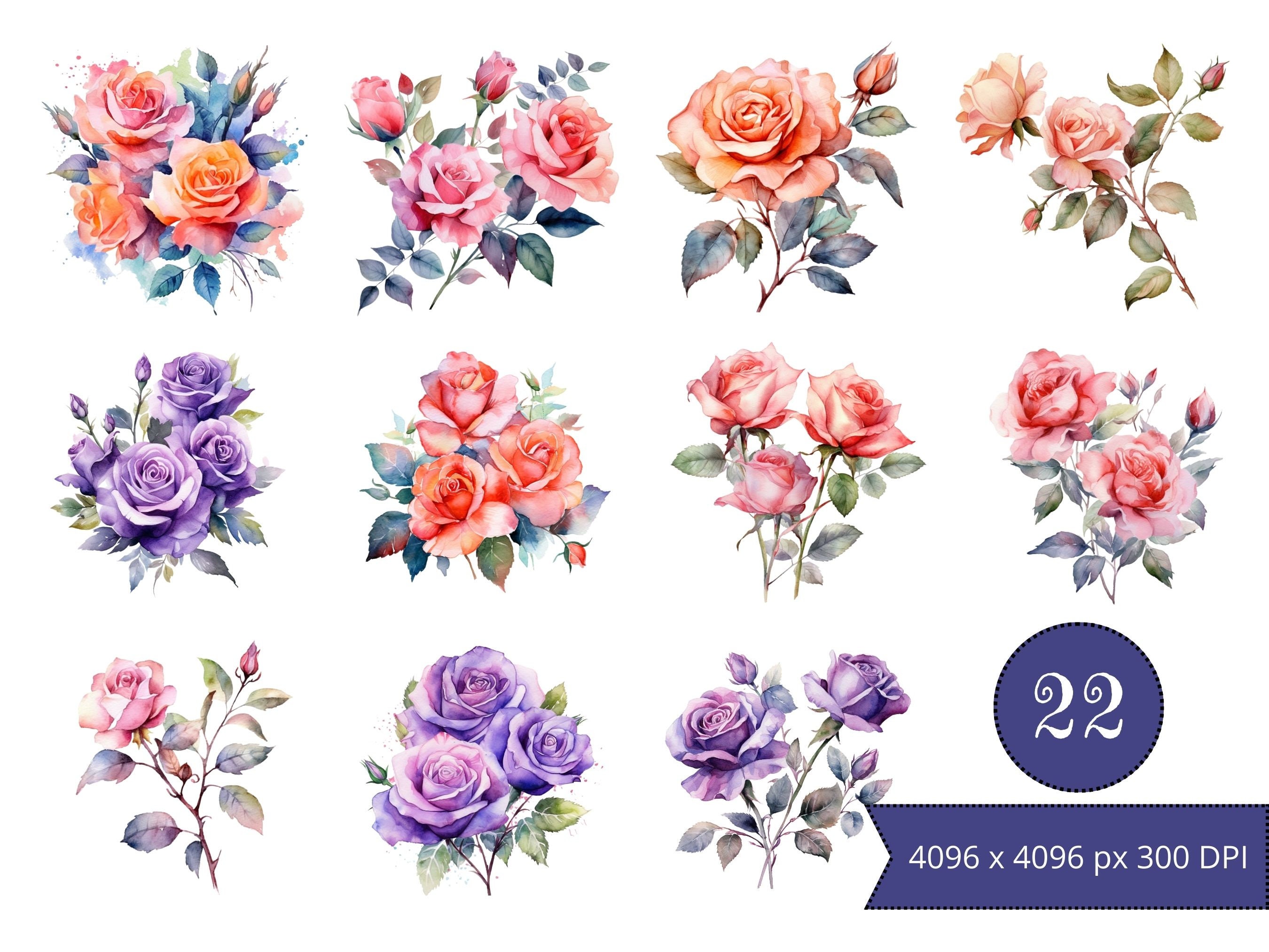 Watercolor Roses Clipart,design Illustration,commercial PNG, Digital ...