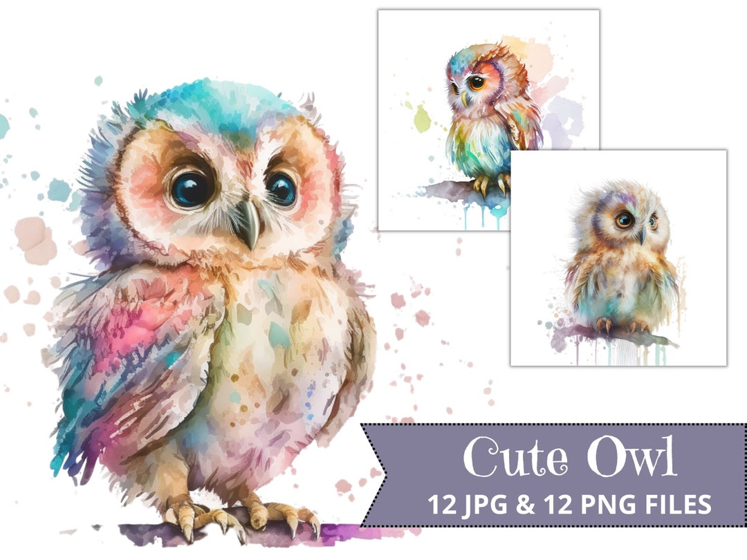 Watercolor Clipart Cute Owl, Owl Illustration, Commercial PNG and JPG ...
