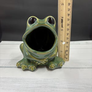 Frog Scrubby Holder - Etsy
