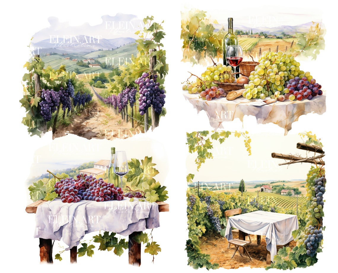 Italy Clipart, Vineyard Landscape, Watercolor Grape Clipart, Wine ...