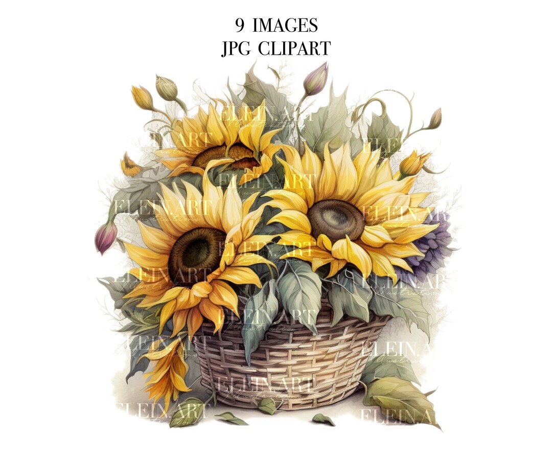 Watercolor Sunflowers Clipart Sunflower Floral Bouquets - Etsy