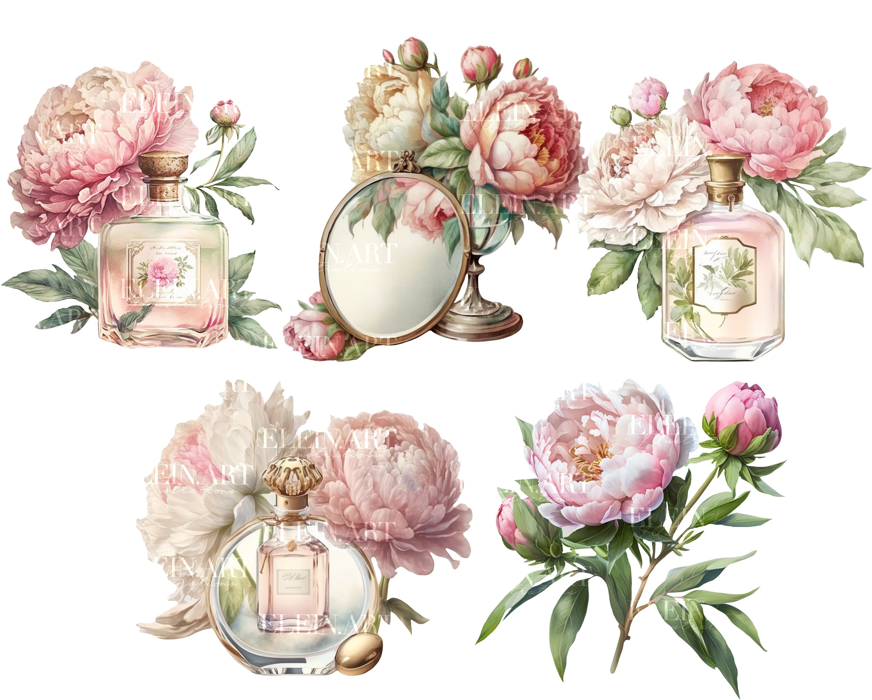 Fashion Art Perfume, Watercolor Peonies, Peony PNG , Floral Clipart ...