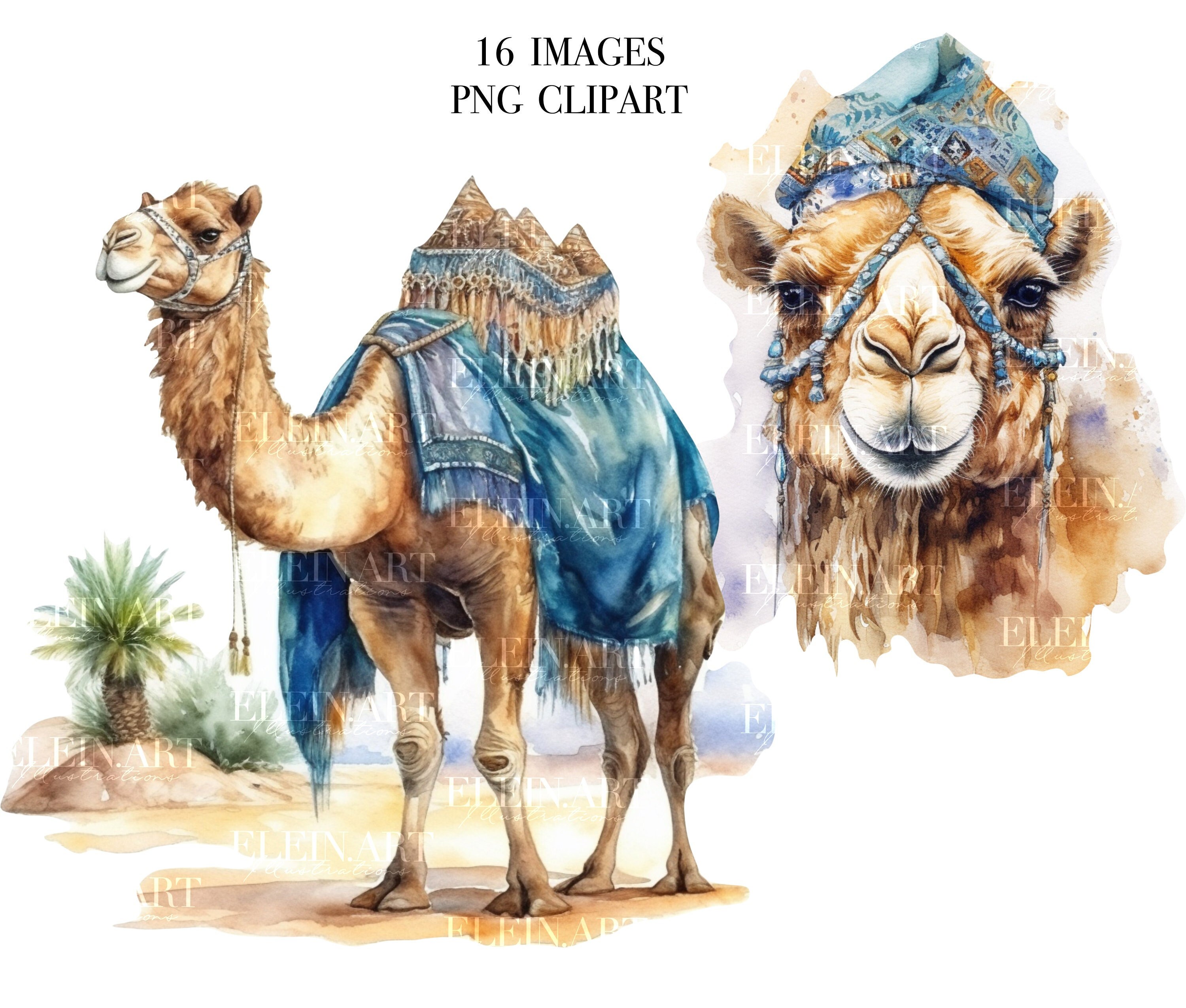 Subliminal Advertising Camel