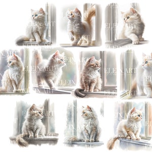 Kitten Clipart Watercolor Kittens Digital Kitten Cute - Etsy