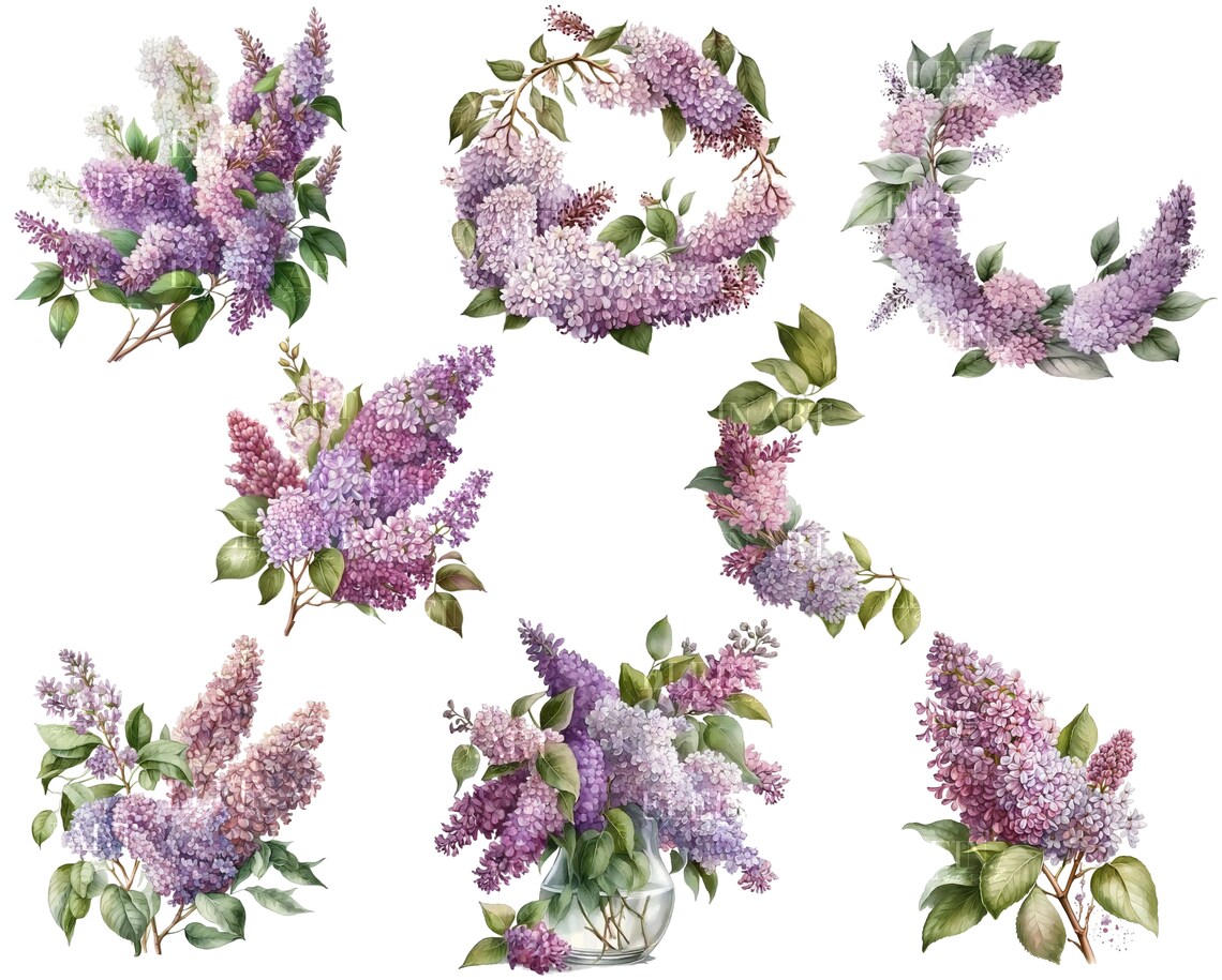 Watercolor Lilac Clipart, Watercolor Lilac, Purple Lilac clipart ...