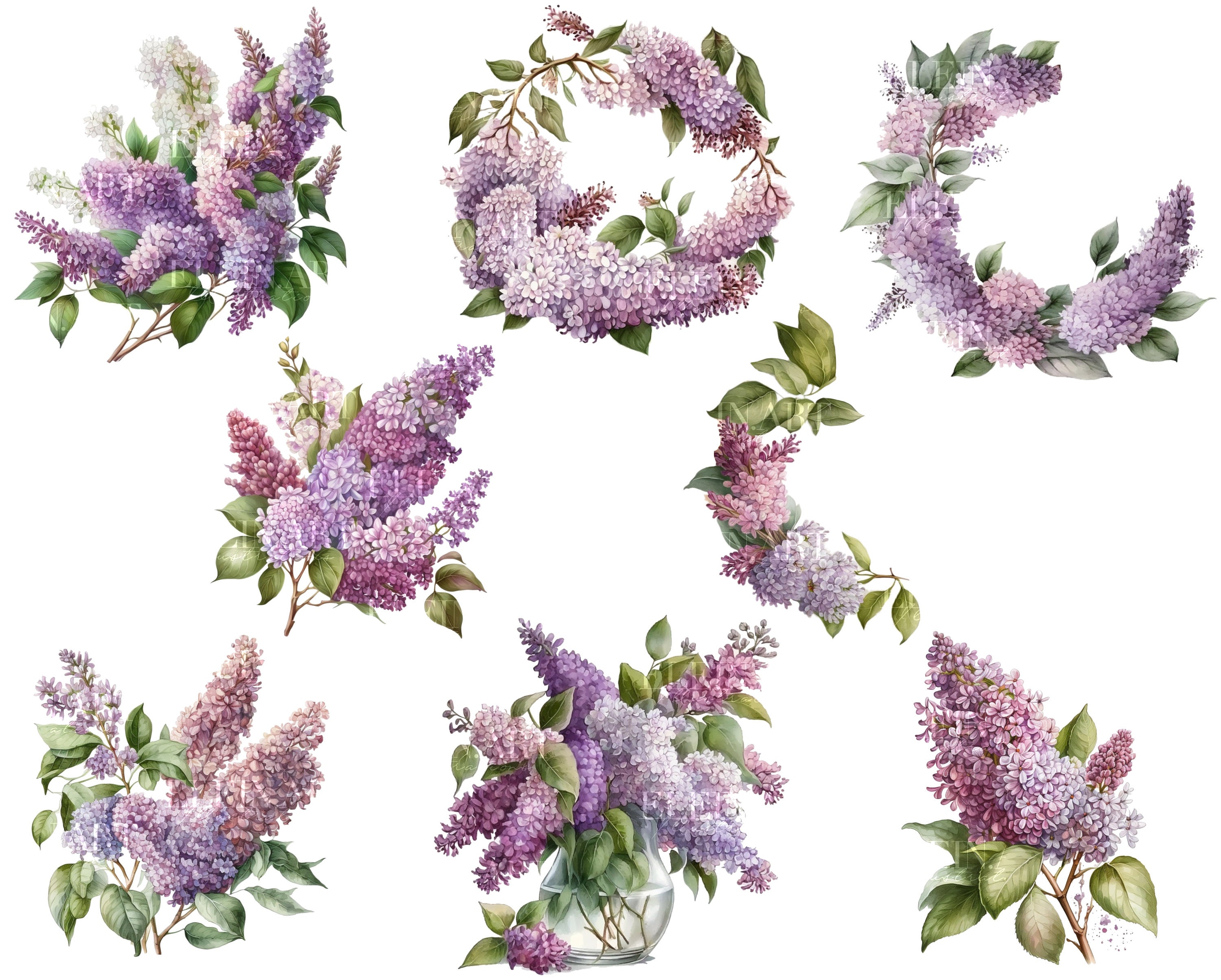 Watercolor Lilac Clipart, Watercolor Lilac, Purple Lilacclipart ...