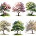 Spring Tree Clipart, Cherry Blossom Tree, Tree Watercolor Clipart, Tree ...