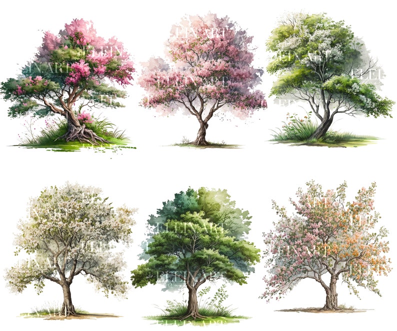 Spring Tree Clipart, Cherry Blossom Tree, Tree Watercolor Clipart, Tree ...