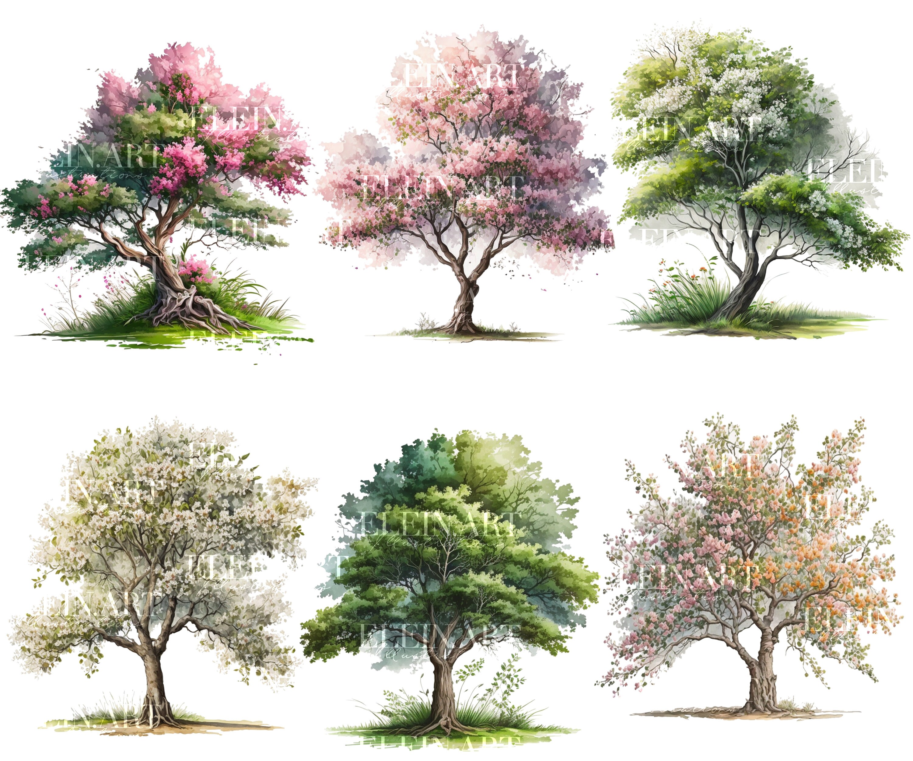 Spring Tree Clipart, Cherry Blossom Tree, Tree Watercolor Clipart, Tree ...