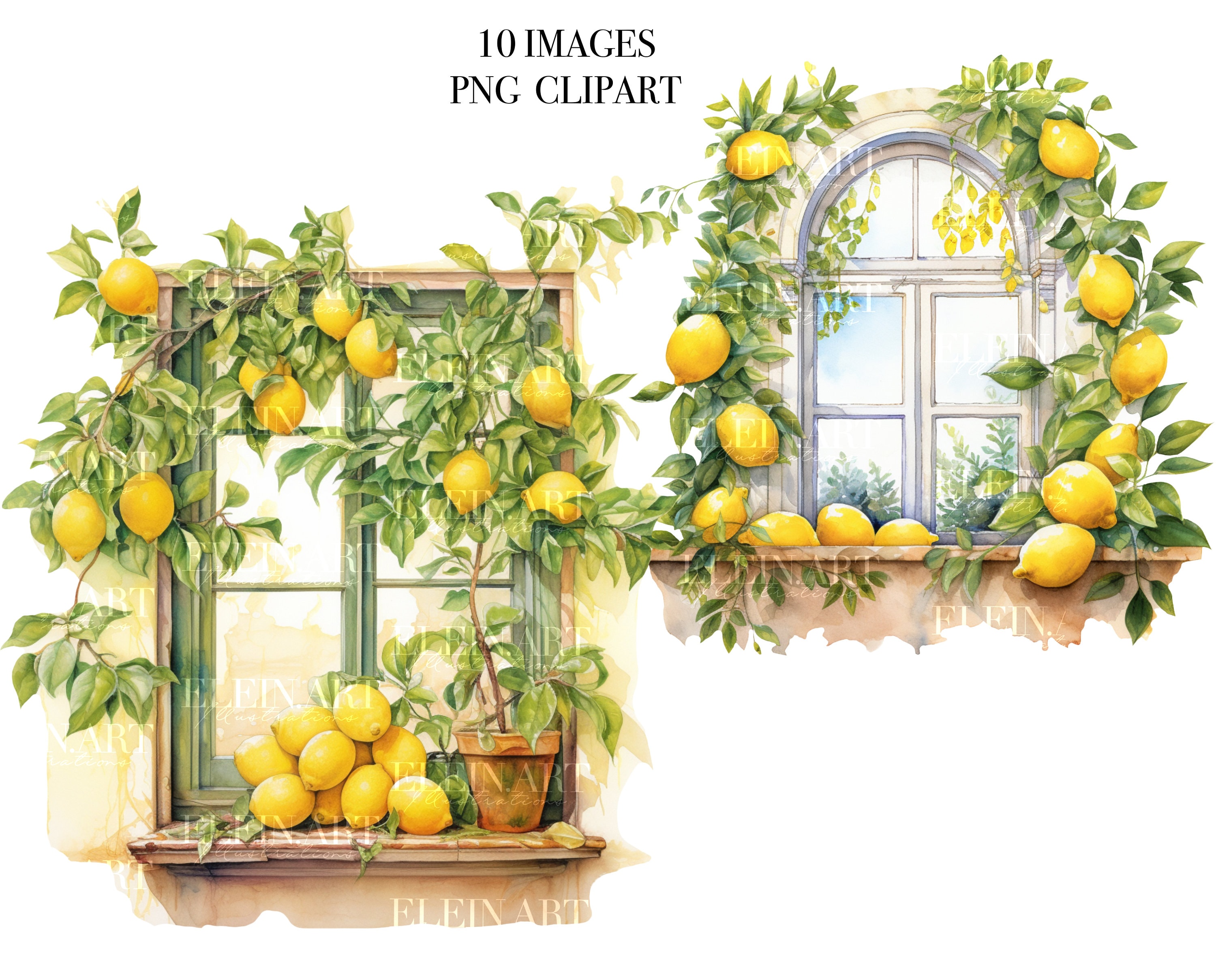 Lemon Clipart, Window Clipart, Watercolor Window, Garden Clipart ...
