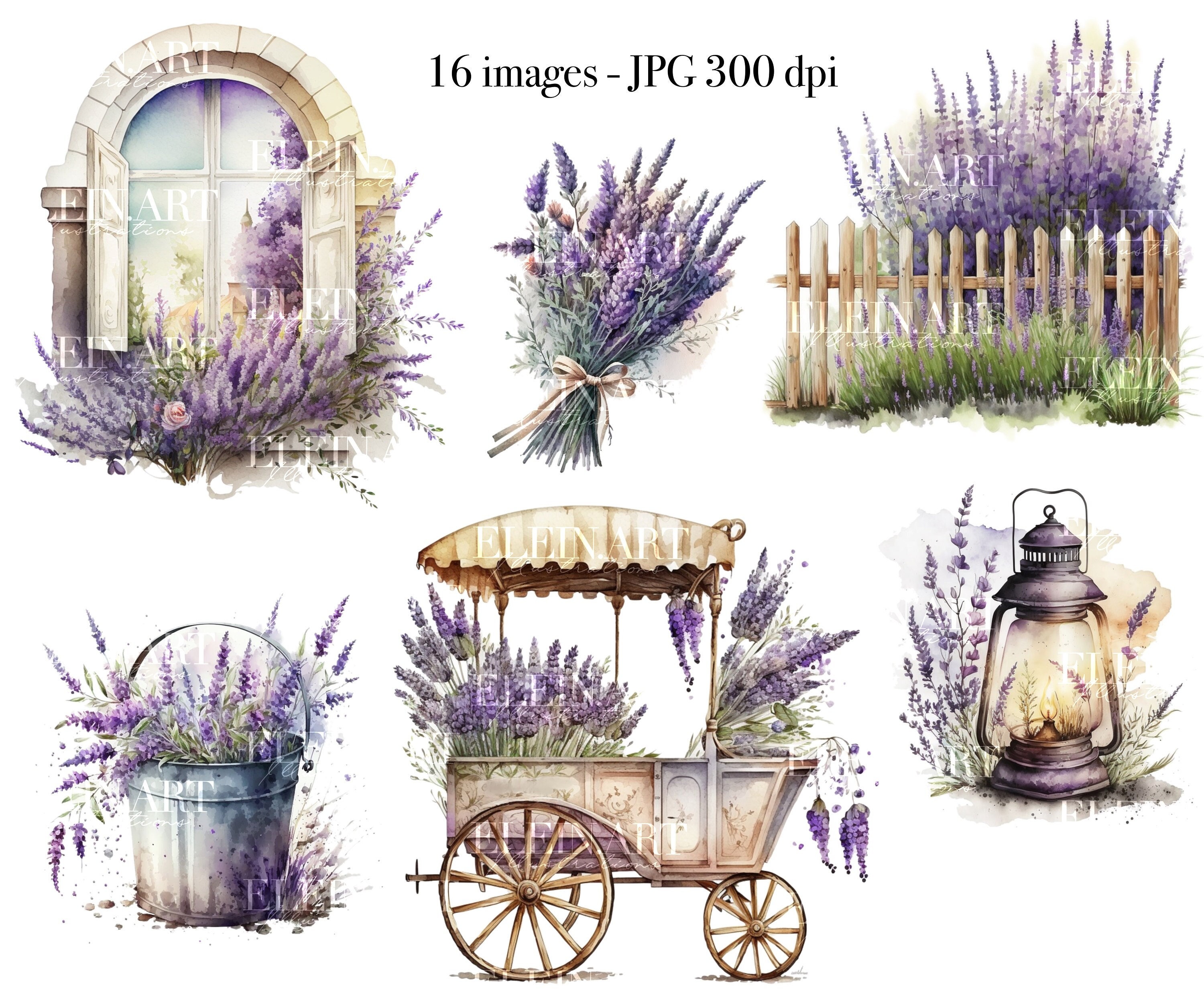 Watercolor Lavender Clipart, Watercolor Lavender, Floral Watercolor ...