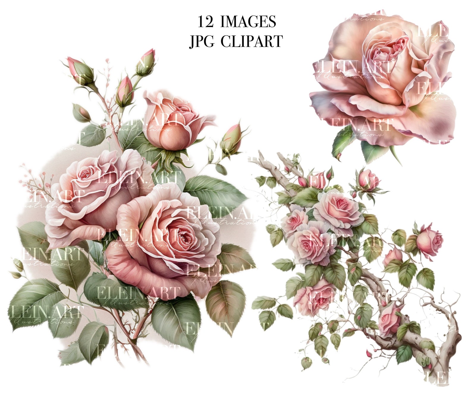 Watercolor Roses Clipart, Watercolor Pink Roses Flower, Floral Wreath ...