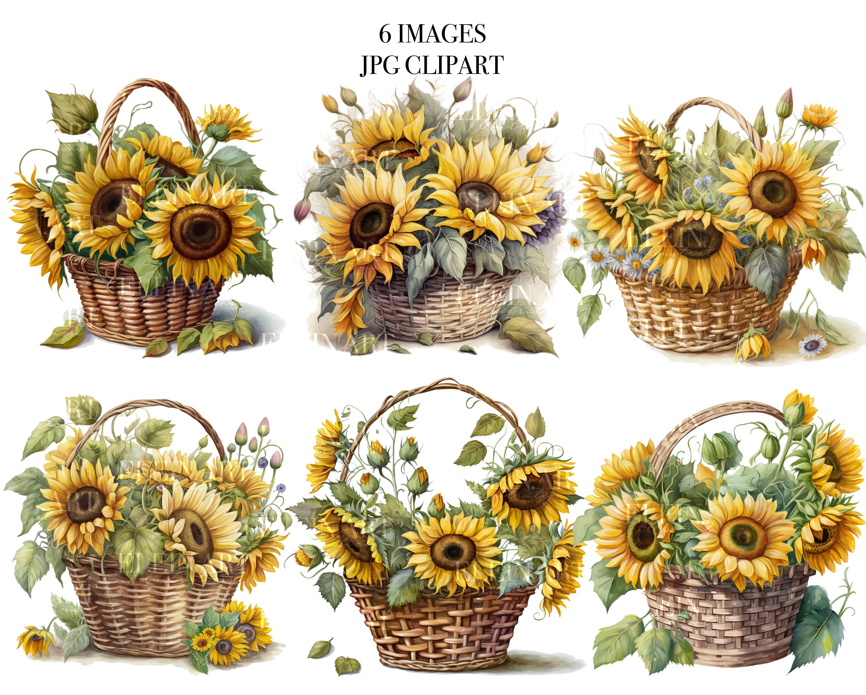 Watercolor Sunflowers Clipart, Sunflower Floral Bouquets, Sunflowers ...
