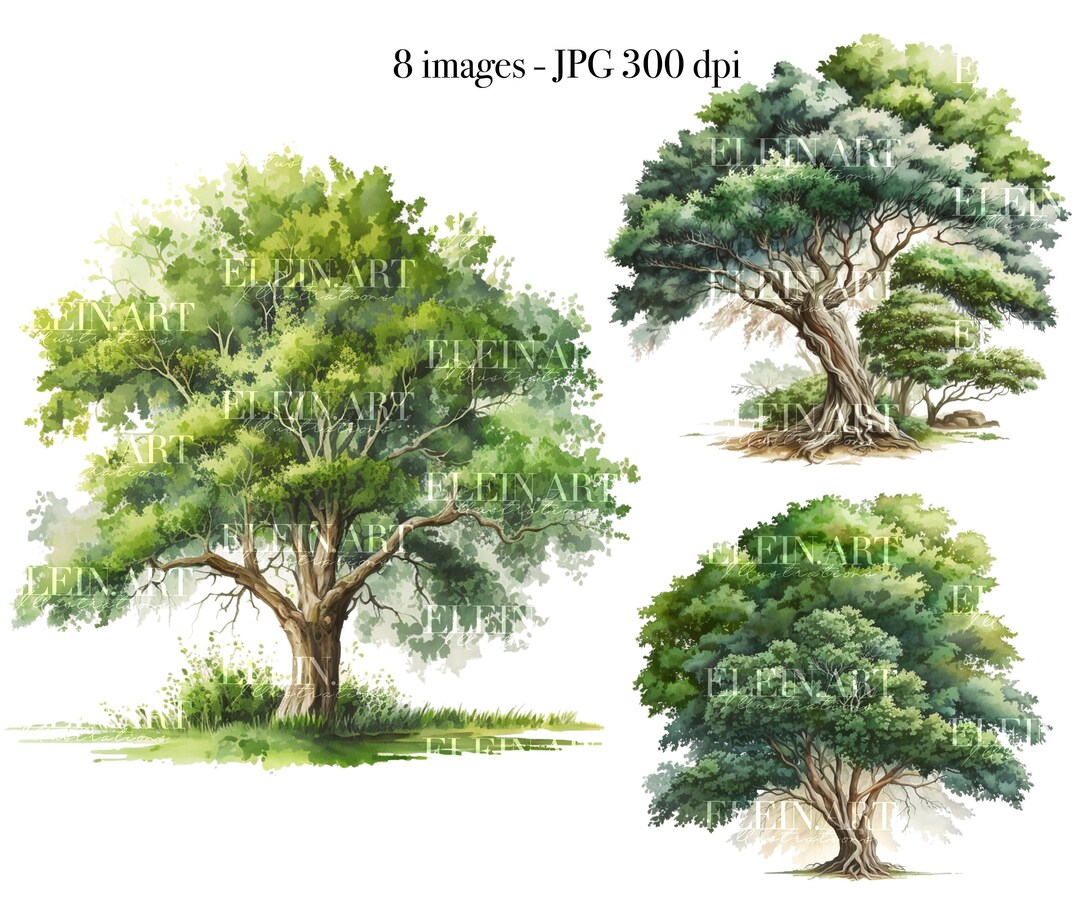 Tree Watercolor Clipart, Tree Watercolor Print, Forest Clipart, Tree ...