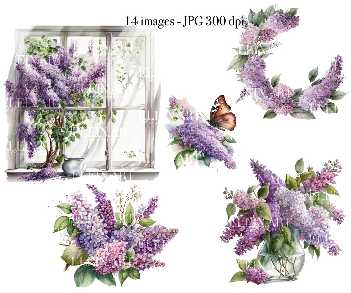 Watercolor Lilac Clipart Watercolor Lilac Purple Lilac - Etsy