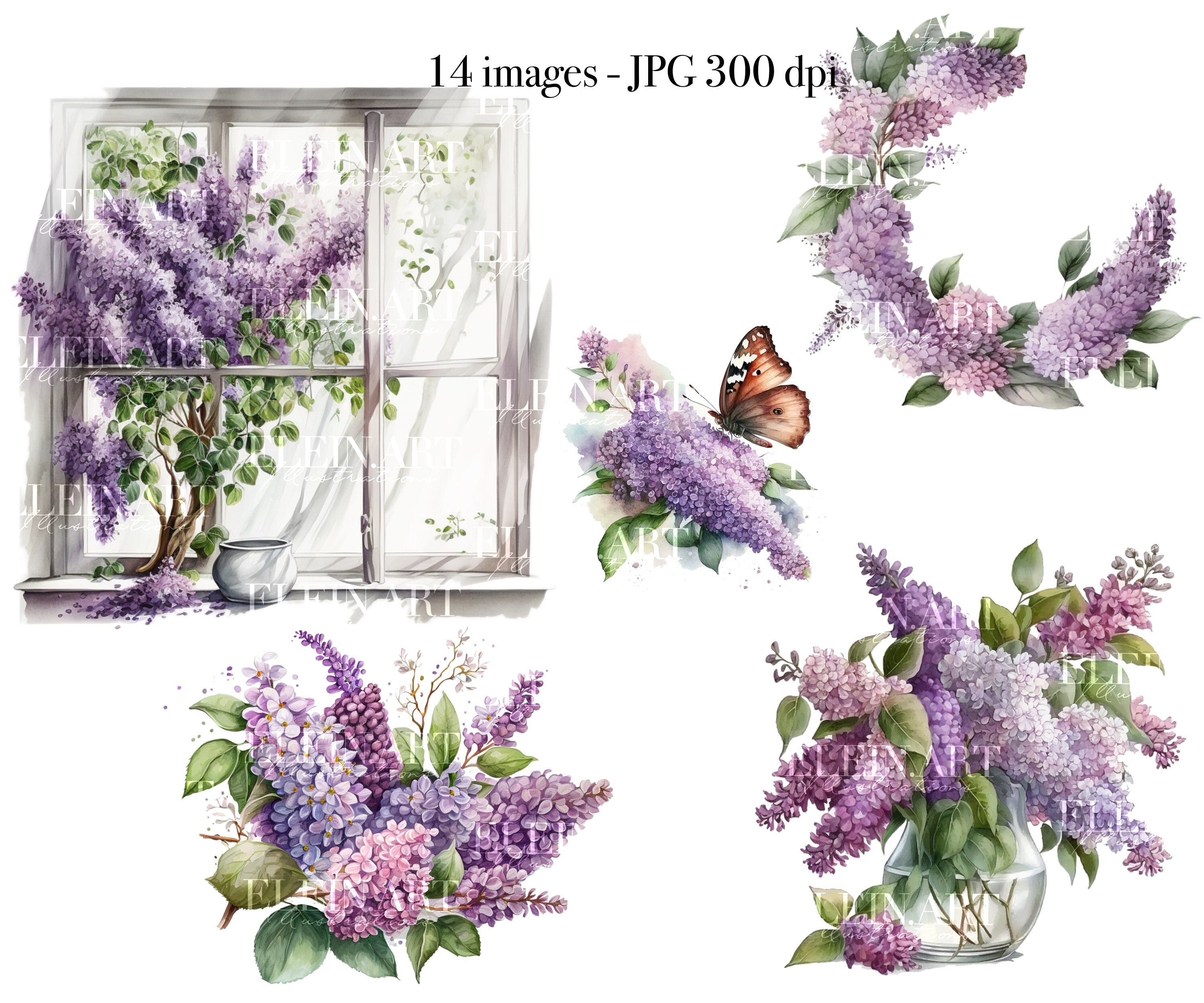 Watercolor Lilac Clipart Watercolor Lilac Purple Lilac - Etsy