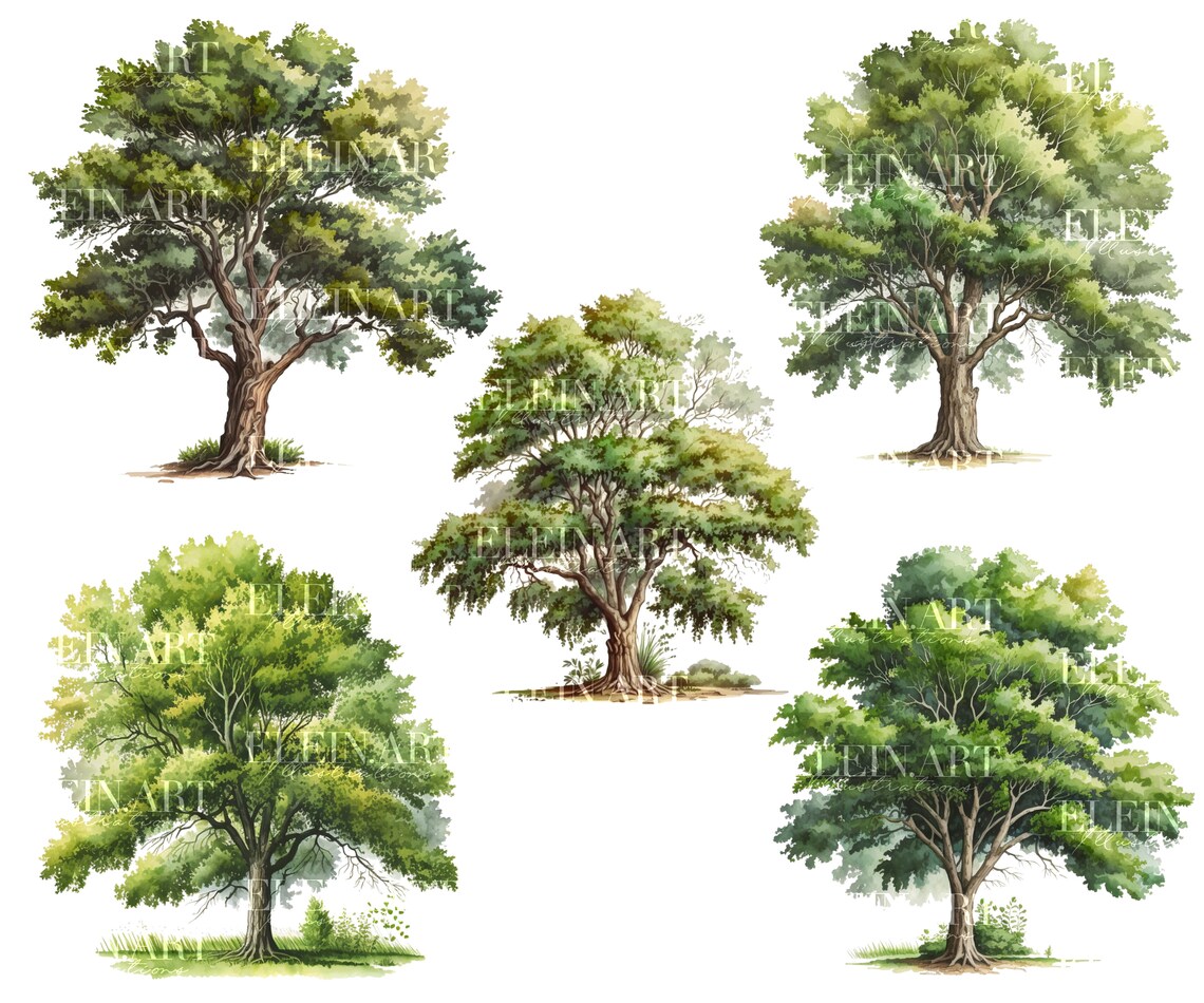 Tree Watercolor Clipart, Tree Watercolor Print, Forest Clipart, Tree ...