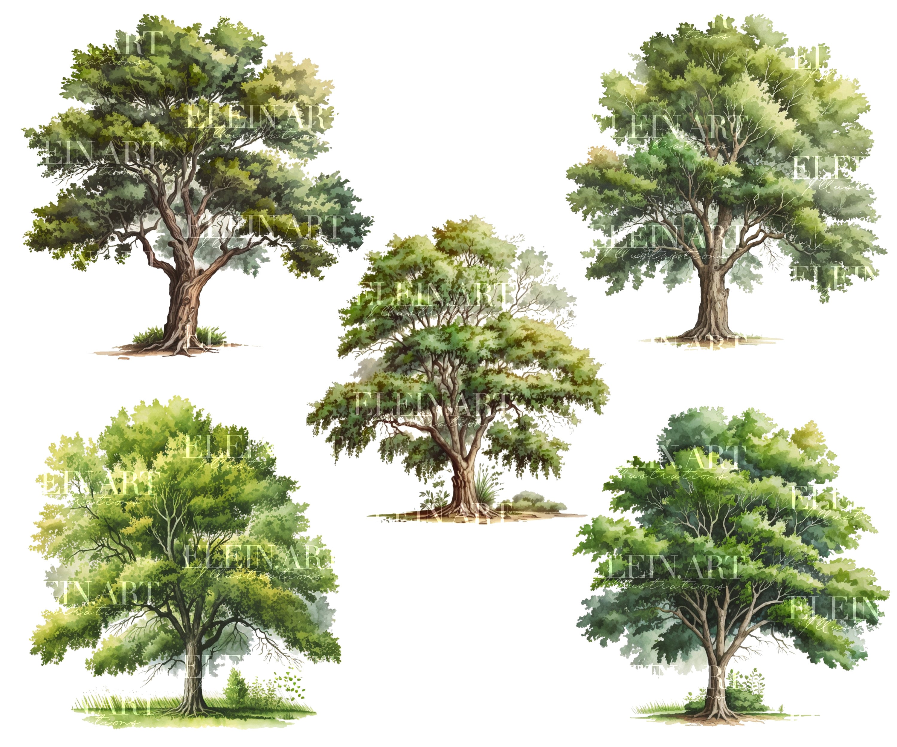 Tree Watercolor Clipart, Tree Watercolor Print, Forest Clipart, Tree ...