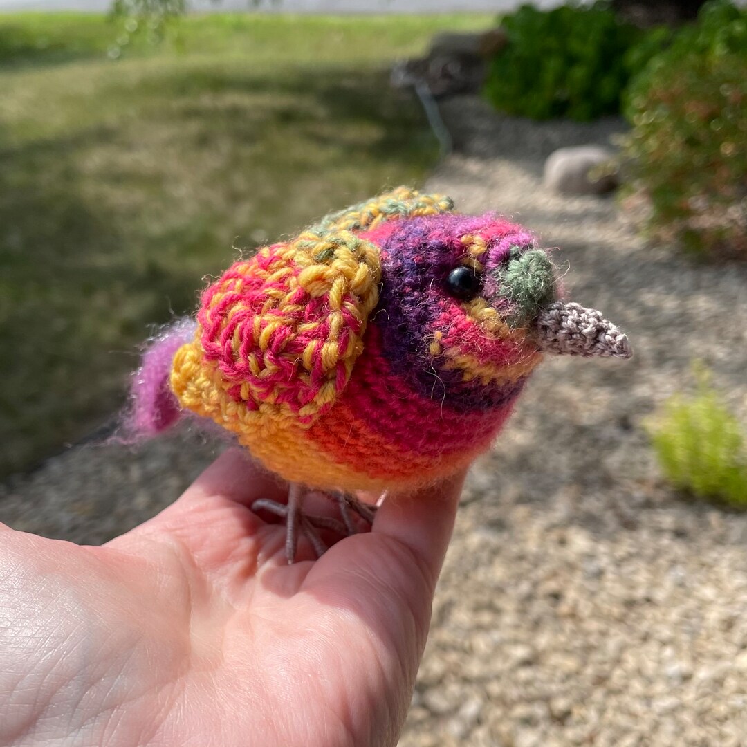 Handmade Crochet Bright Rainbow Sparrow - Etsy