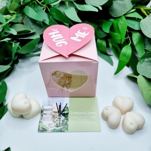 Valentine/galentines, Love, Hug, Kiss Presentation Wax Melt Boxes ...