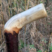 Irish Blackthorn Walking Stick | Cane Irish | Wood Hiking Cane ...