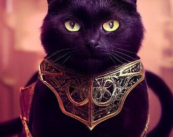 Black Cat Armor - Etsy