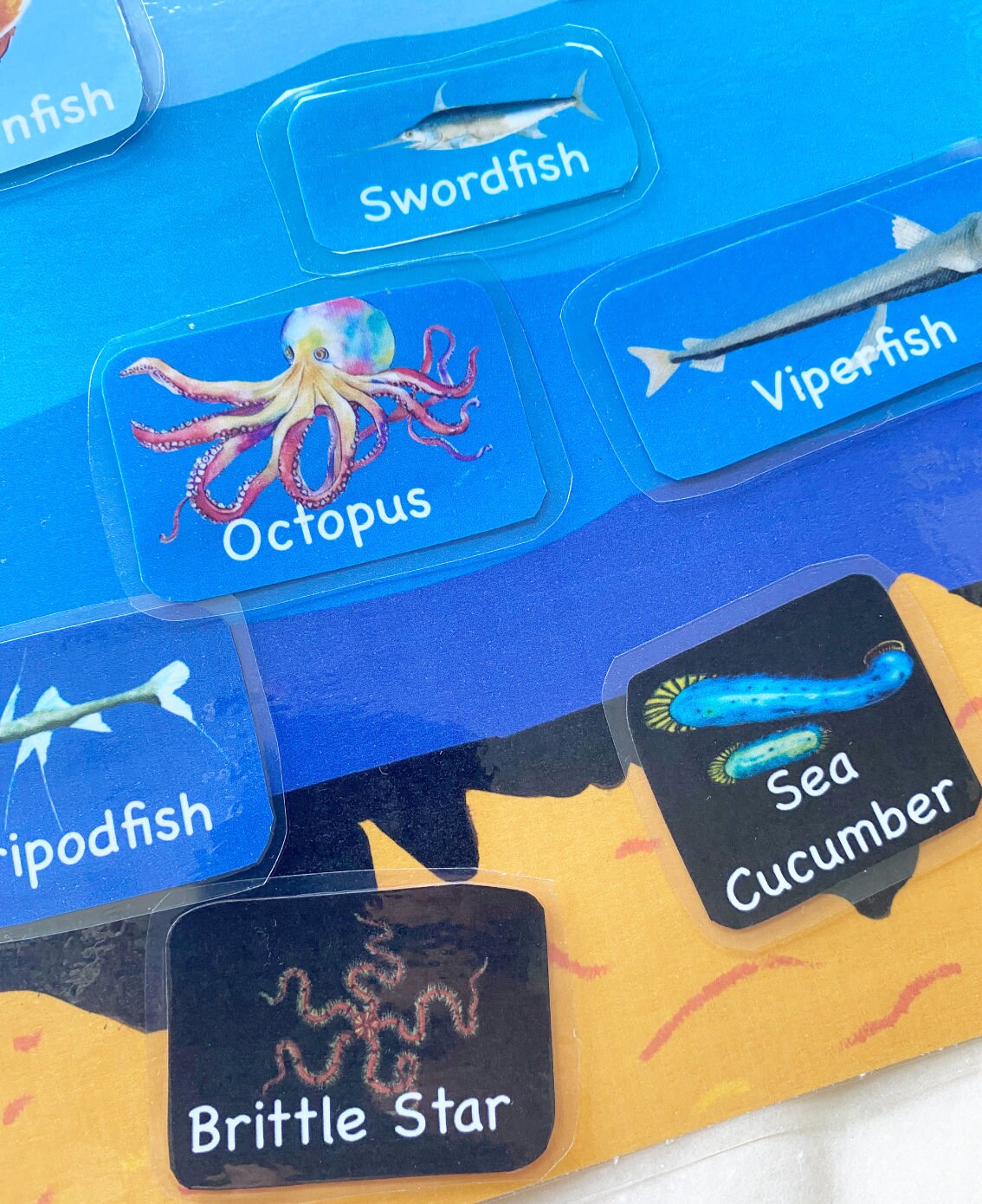 Ocean Zones Printable / Marine Life / Sea Creatures / Ocean Printable ...