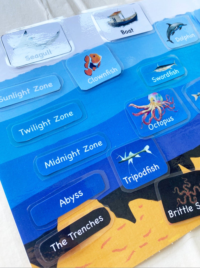 Ocean Zones Printable / Marine Life / Sea Creatures / Ocean Printable ...