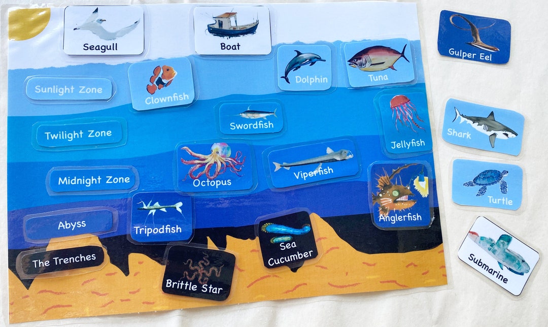 Ocean Zones Printable / Marine Life / Sea Creatures / Ocean Printable ...