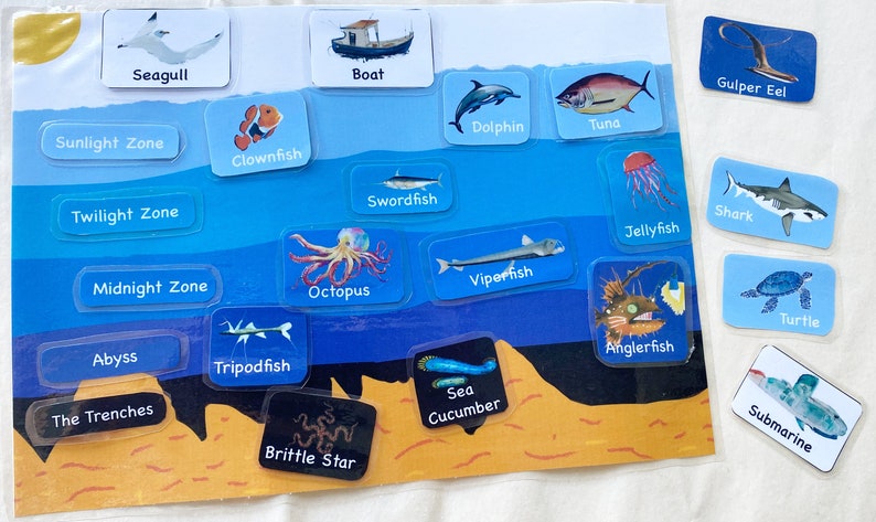 Ocean Zones Printable / Marine Life / Sea Creatures / Ocean Printable ...