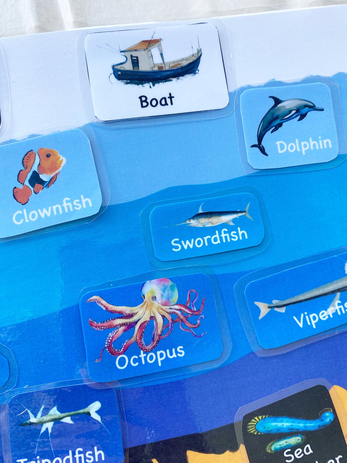 Ocean Zones Printable / Marine Life / Sea Creatures / Ocean Printable ...