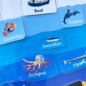 Ocean Zones Printable / Marine Life / Sea Creatures / Ocean Printable ...