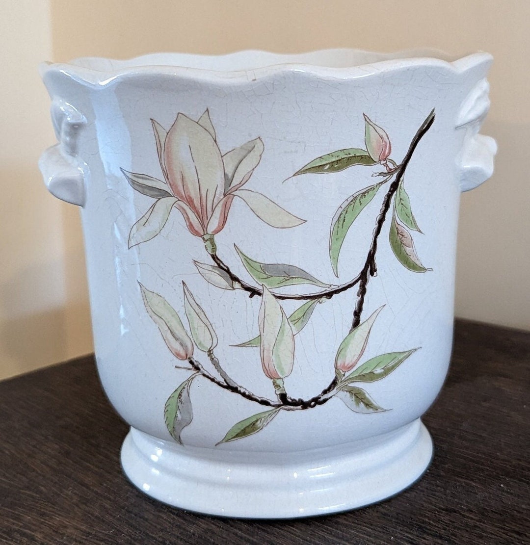 Royal Winton Pottery Ironstone Plant Pot Magnolia Flower - Etsy