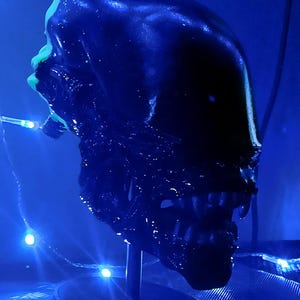 ALIEN XENOMORPH TROPHY Ripped Head / Fluorescent Painted 3D Model 25cm ...