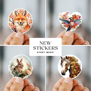 Baby Pig in a Hoodie Sticker Cute Car Decal Laptop Decal Animal ...