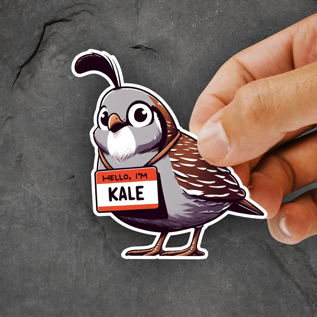 Kale the Quail Sticker | Cute Quail Vinyl Decal | Durable, Waterproof ...