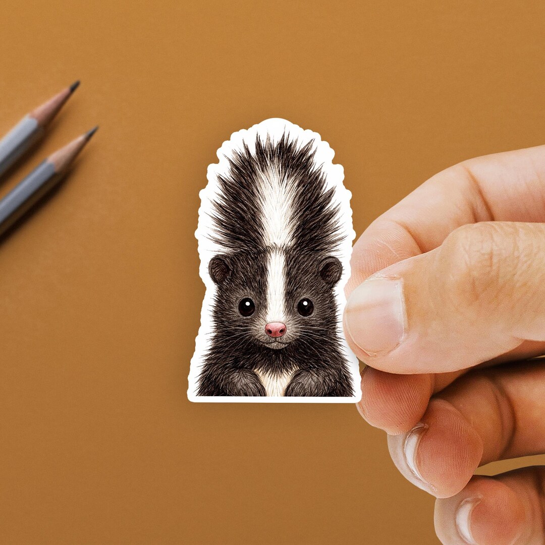 Skunk Peeker Sticker - Cute Baby Skunk Vinyl Decal, Waterproof ...