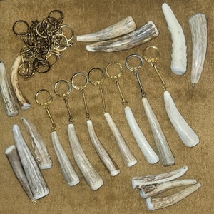 Elk Antler Keychains & DIY Project Set - Etsy