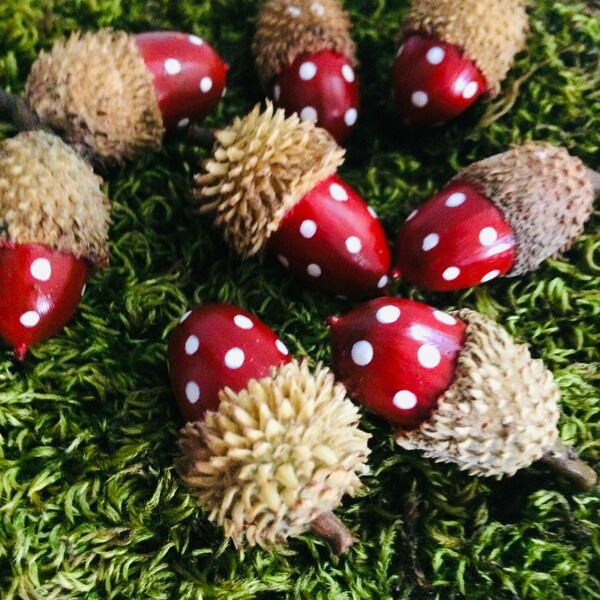 Painted Acorns - Etsy