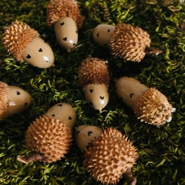 Painted Acorns - Etsy
