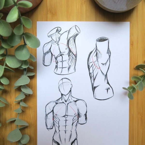 Torso Drawing - Etsy