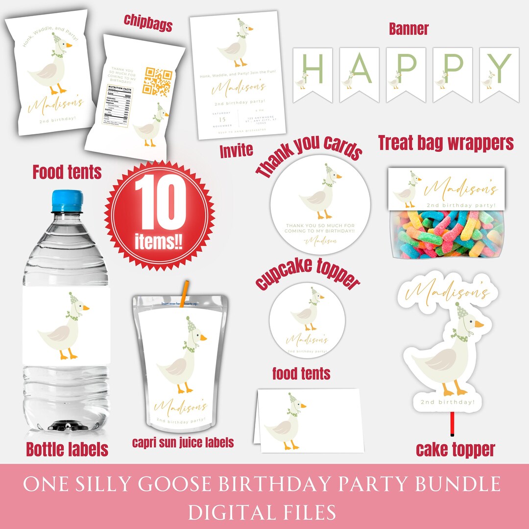 One Silly Goose Birthday Party Decor Bundle, Goose Theme First Birthday ...