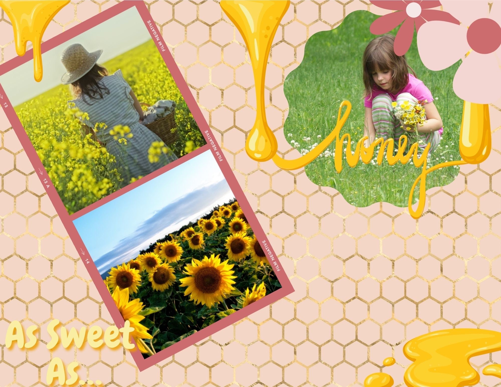 The Queen Bee Digital Paper-instant Download-high Quality - Etsy