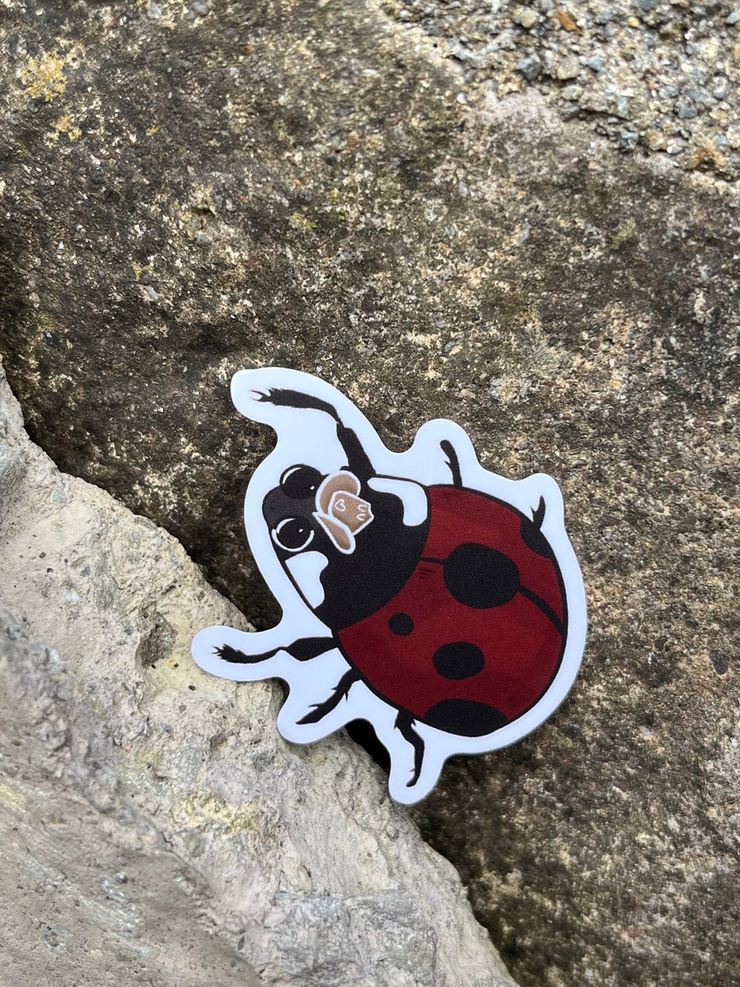 Cowboy Ladybug - Etsy