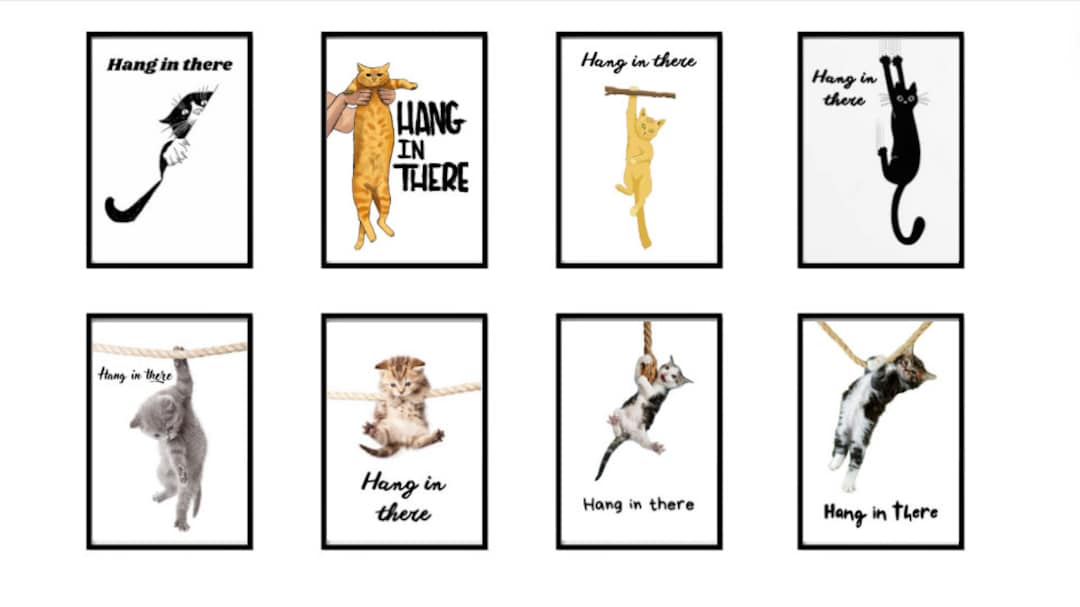 Hang in There Cat Poster Set,hang in There Print,cat Meme Poster,cute ...