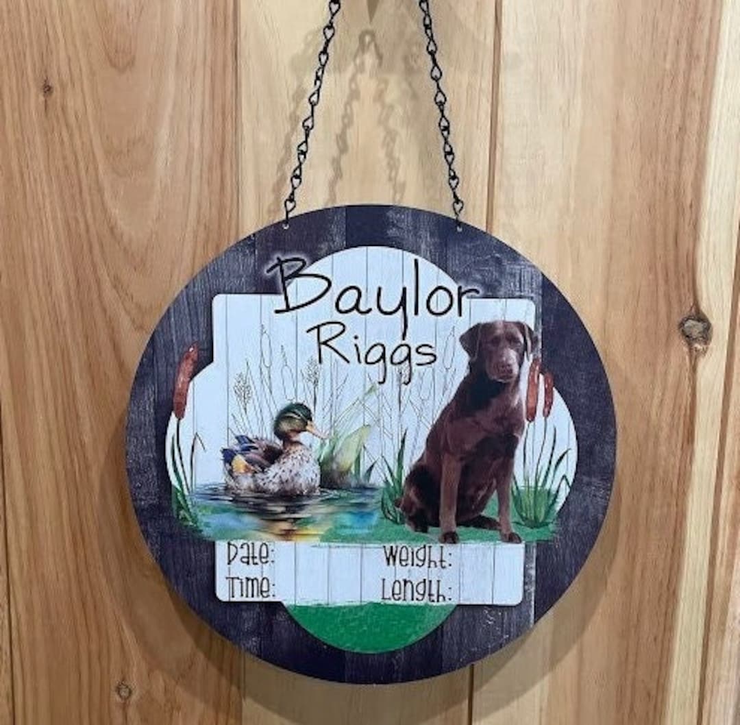 Duck Hospital Door Hanger Duck Hunting Chocolate Lab Baby Door Hanger ...