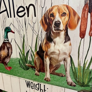 Customized Beagle Baby Gift - Duck Hospital Door Hanger - Beagle Dog ...