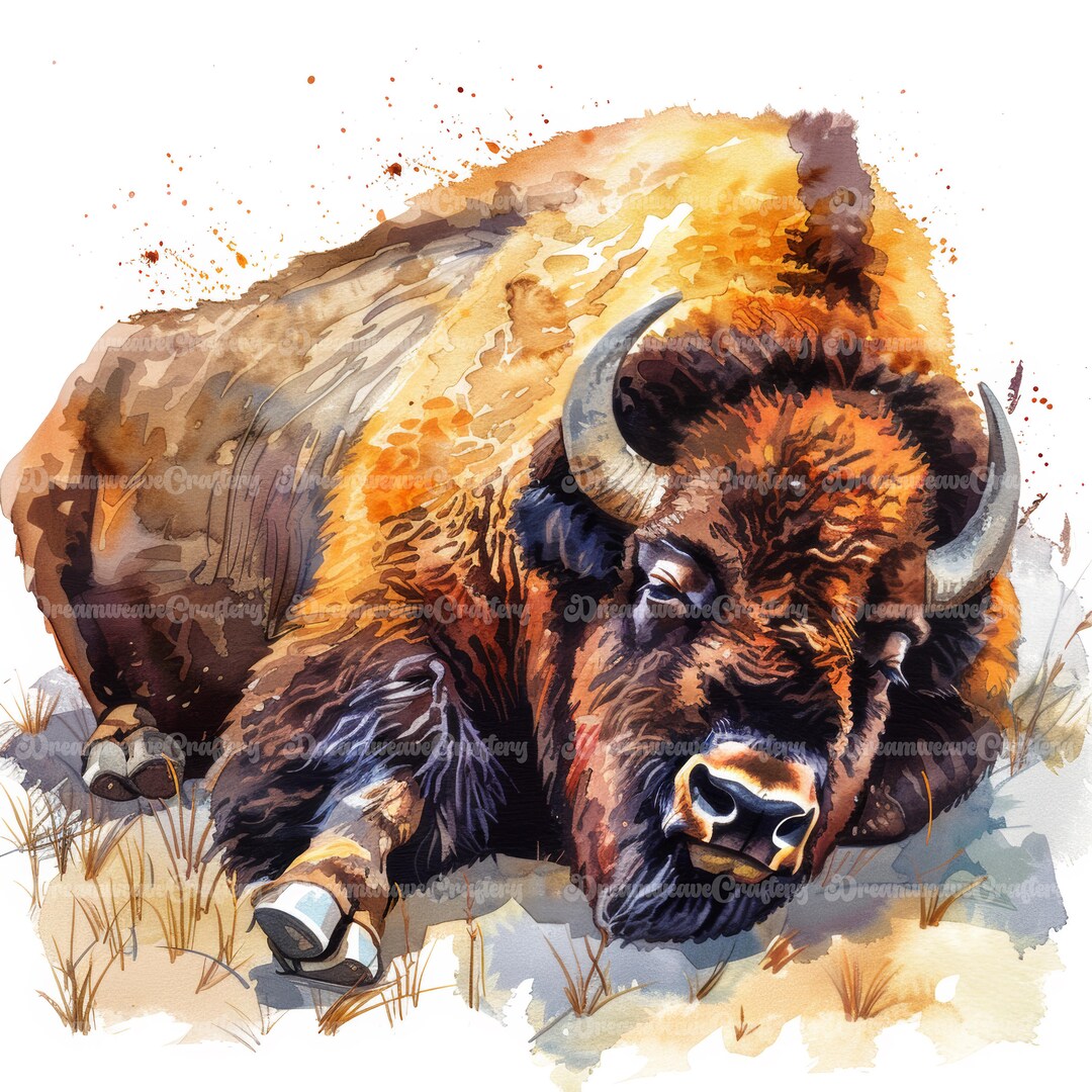 10 Pretty Cartoon Brown Bison Clipart Printable Watercolor Animals High ...
