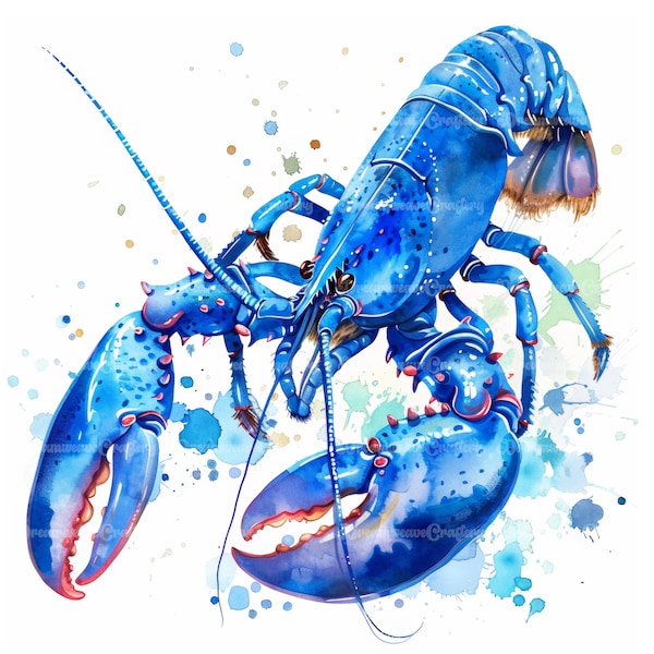 Blue Lobster - Etsy