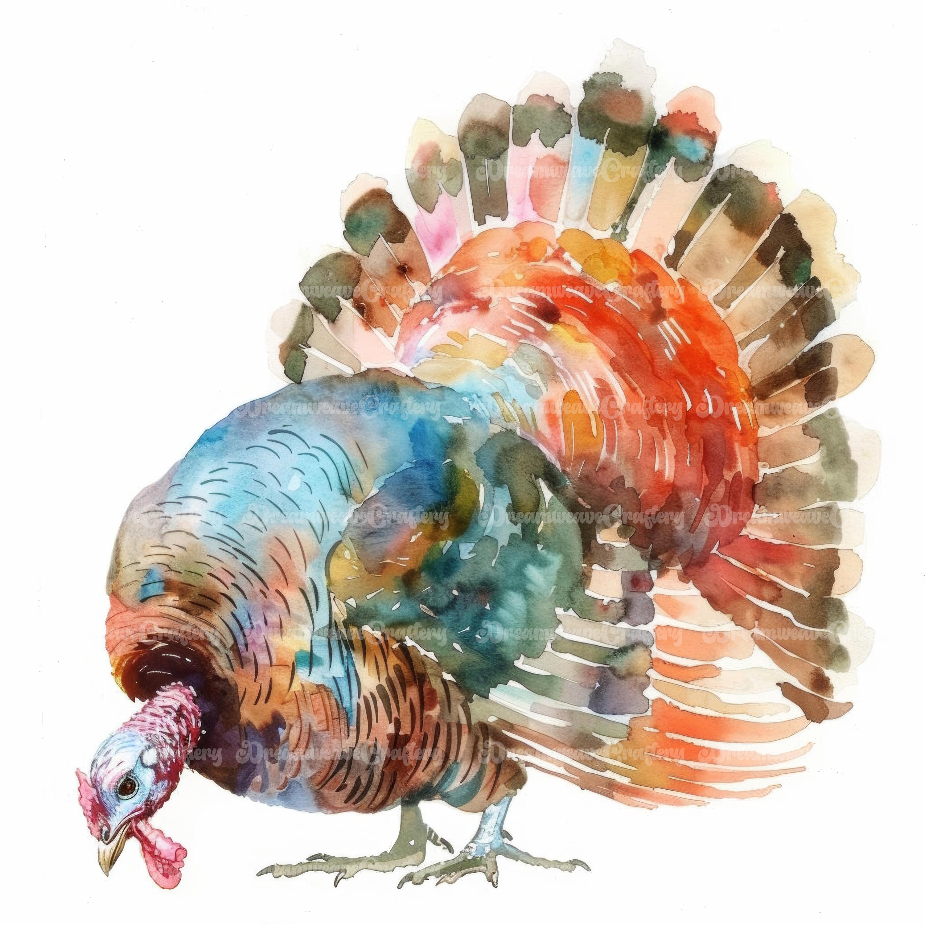10 Pretty Cartoon Turkey Clipart Printable Watercolor Large Birds High ...